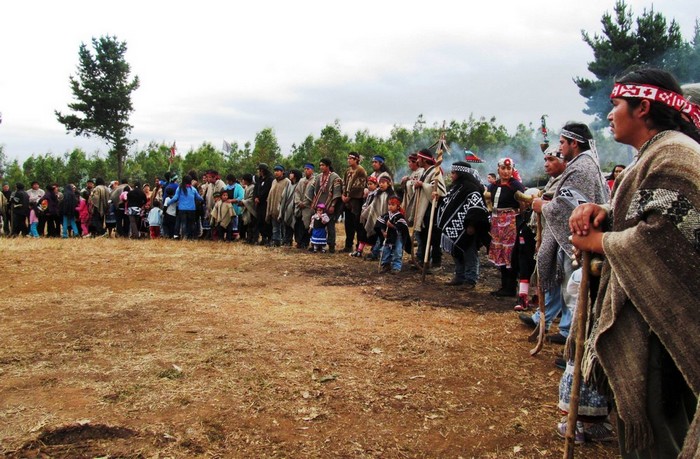 Chili. Résistance et lutte territoriale au pays Mapuche