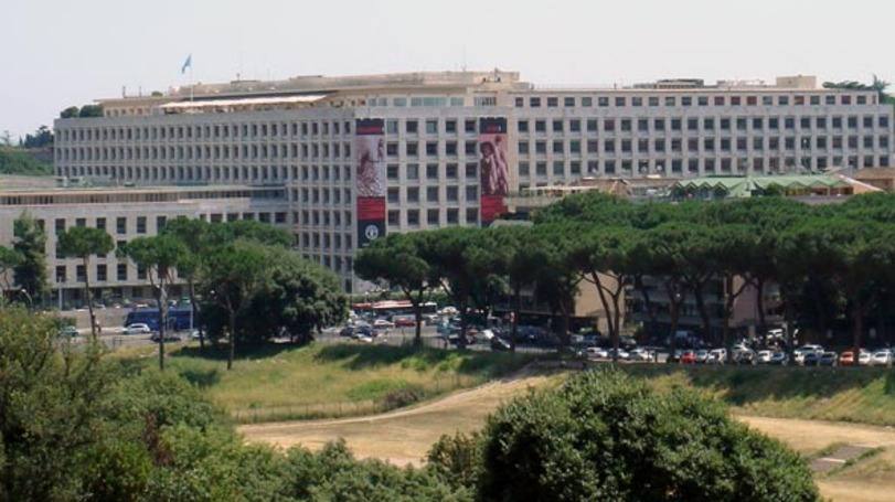 FAO e Premi Nobel esaminano i collegamenti cruciali tra la sicurezza ...