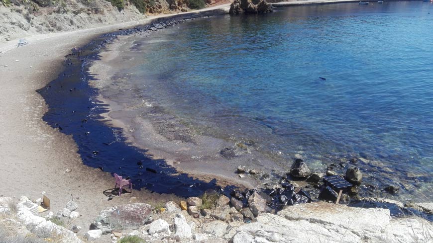 Μήνυση του WWF για τη ρύπανση στο Σαρωνικό