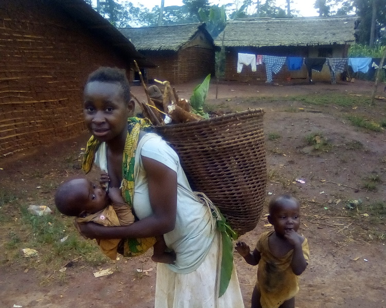 Les pygmées de plus en plus convoités par les ONG