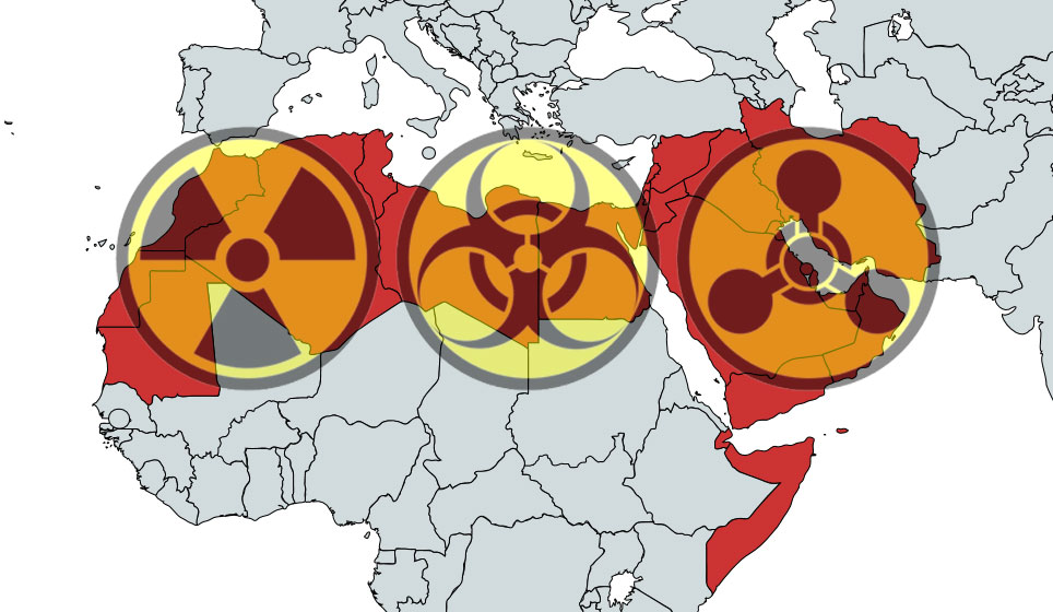 WMD out of the Middle East: Achieving the Possible