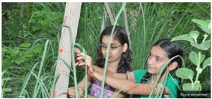 An Indian initiative to fight gender discrimination: a nonviolence ...