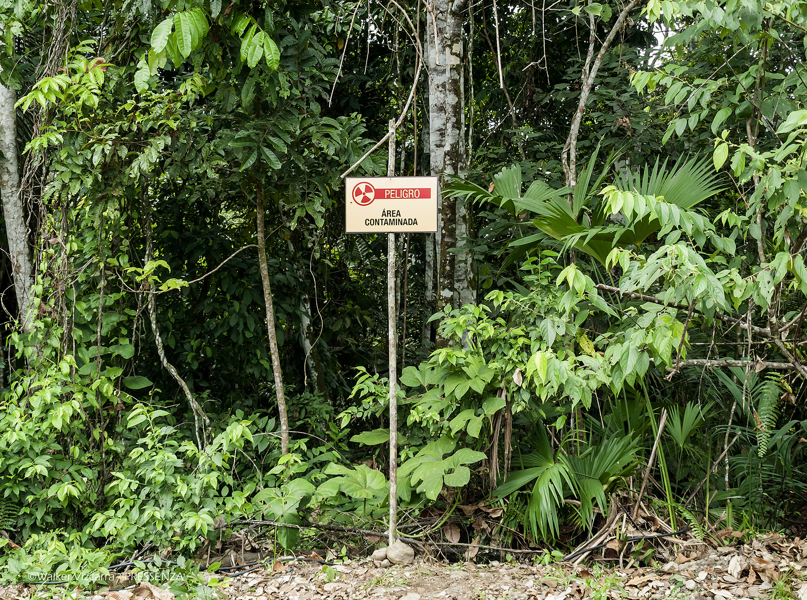 Detrás de los 25 años de lucha entre la Amazonía ecuatoriana y Texaco ...