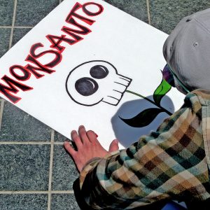 Monsanto vai a julgamento nos EUA por agrotóxico cancerígeno
