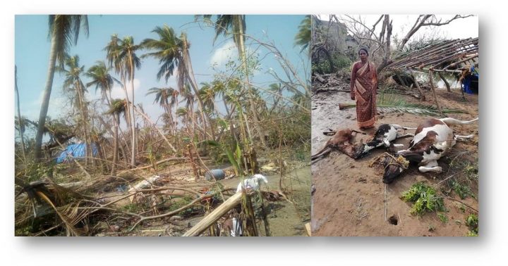 Network of Volunteers Bring Relief to Gaja Cyclone Victims in Tamilnadu ...