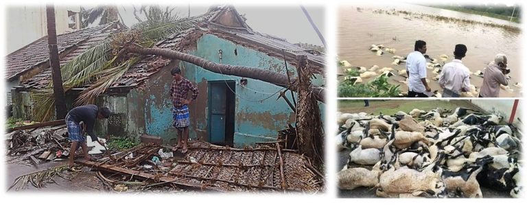 Network of Volunteers Bring Relief to Gaja Cyclone Victims in Tamilnadu ...