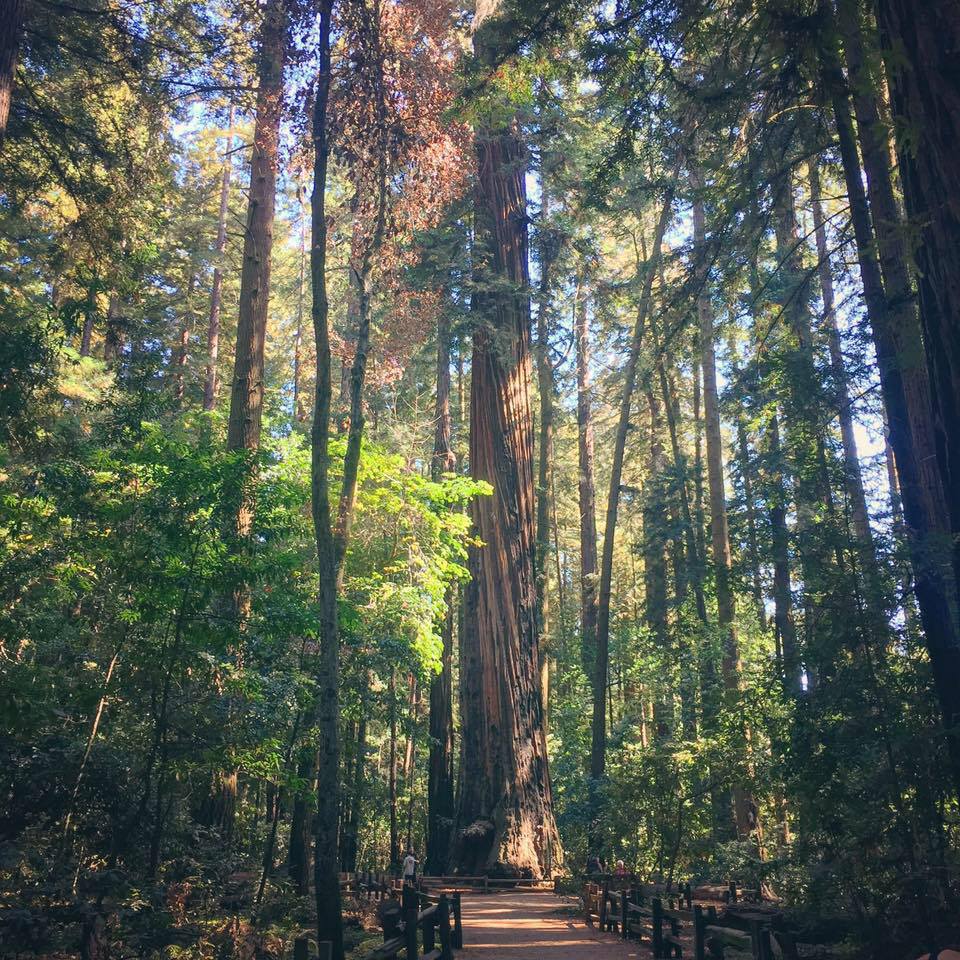 Will 2019 bring opportunities to change the system?