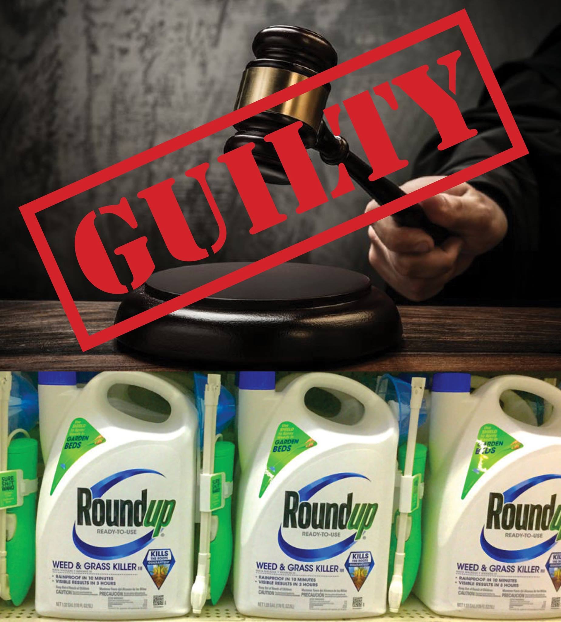 'Verdict Is In': Monsanto Found Liable for Man's Cancer, Ordered to Pay ...