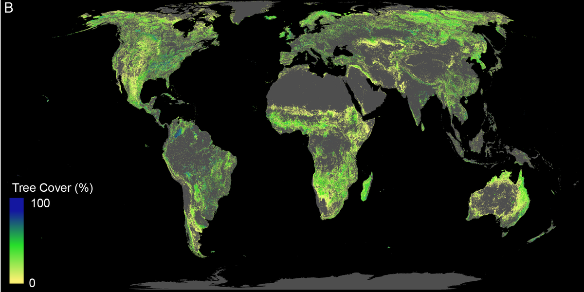 Reforesting an area the size of the US needed to help avert climate ...