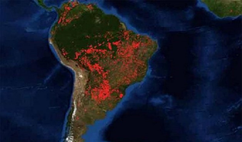Incendios en la Amazonia: OTCA, el bombero ignorado