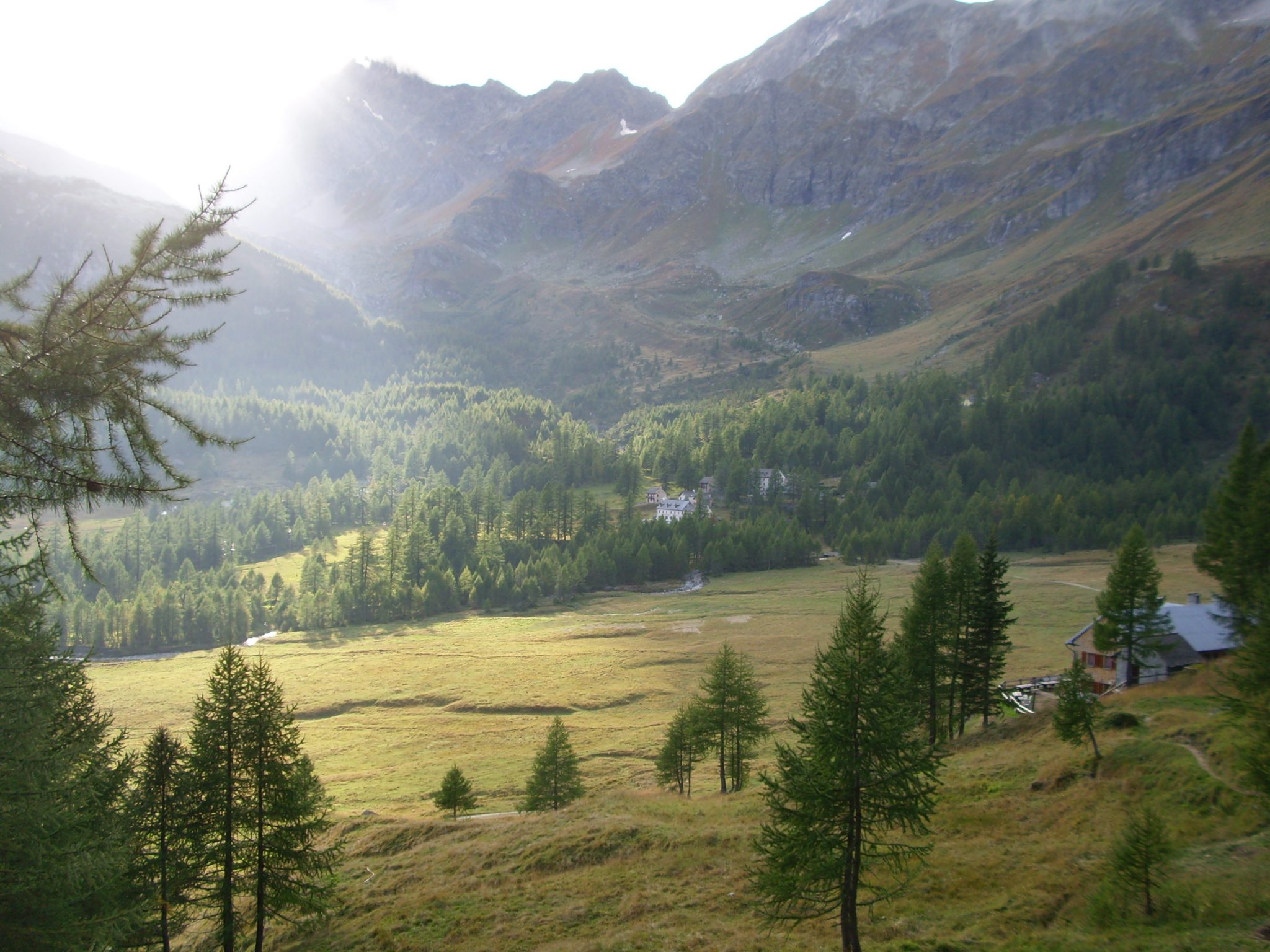 Piemonte: all’Alpe Devero ruspe in agguato