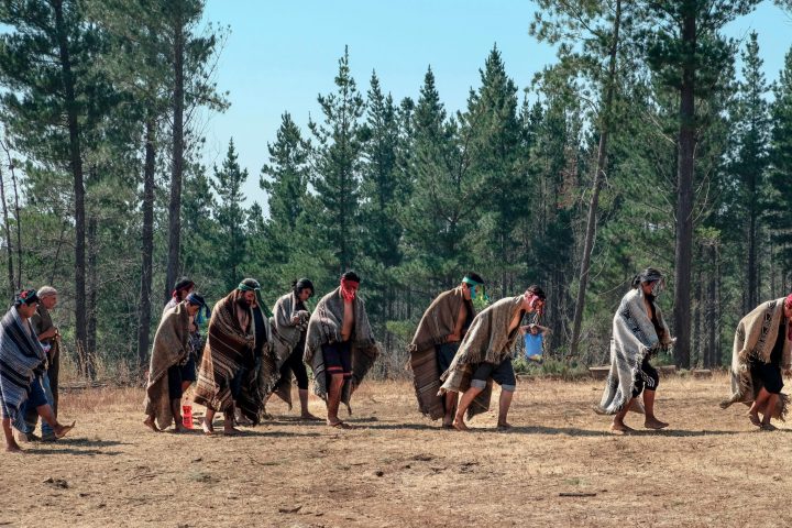 En el corazón del Nguillatún: una forma de resistencia Mapuche