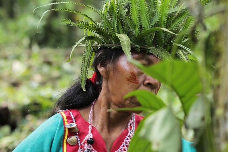 Ecuador: los Secoya-Siekopai presentan casos por Covid19