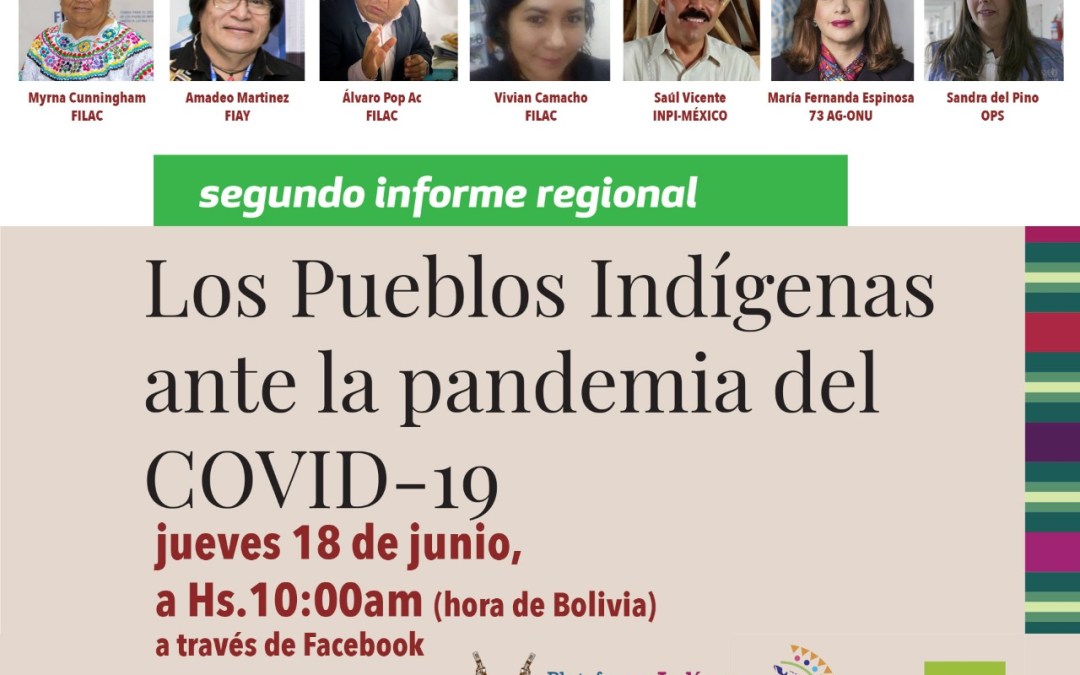 Segundo Informe Regional sobre Situación de los Pueblos Indígenas de ...