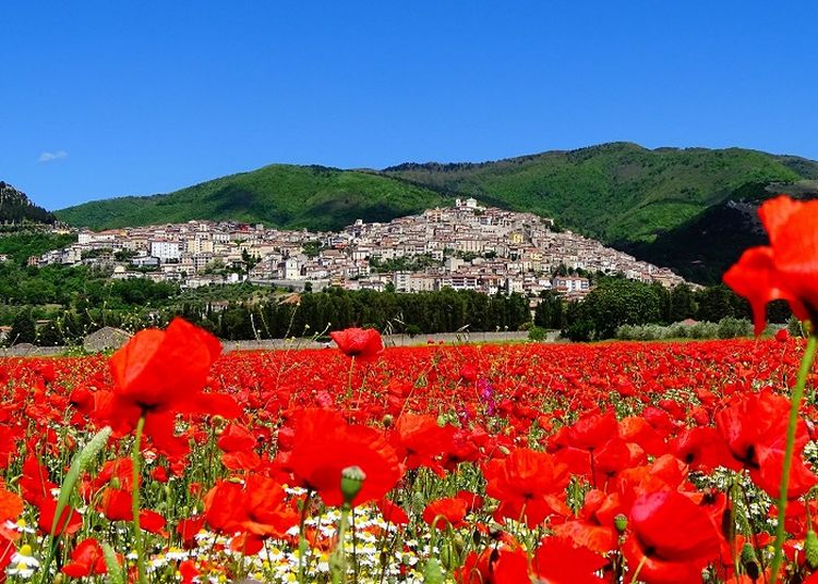 Padula in tour e il suo viaggio innovativo