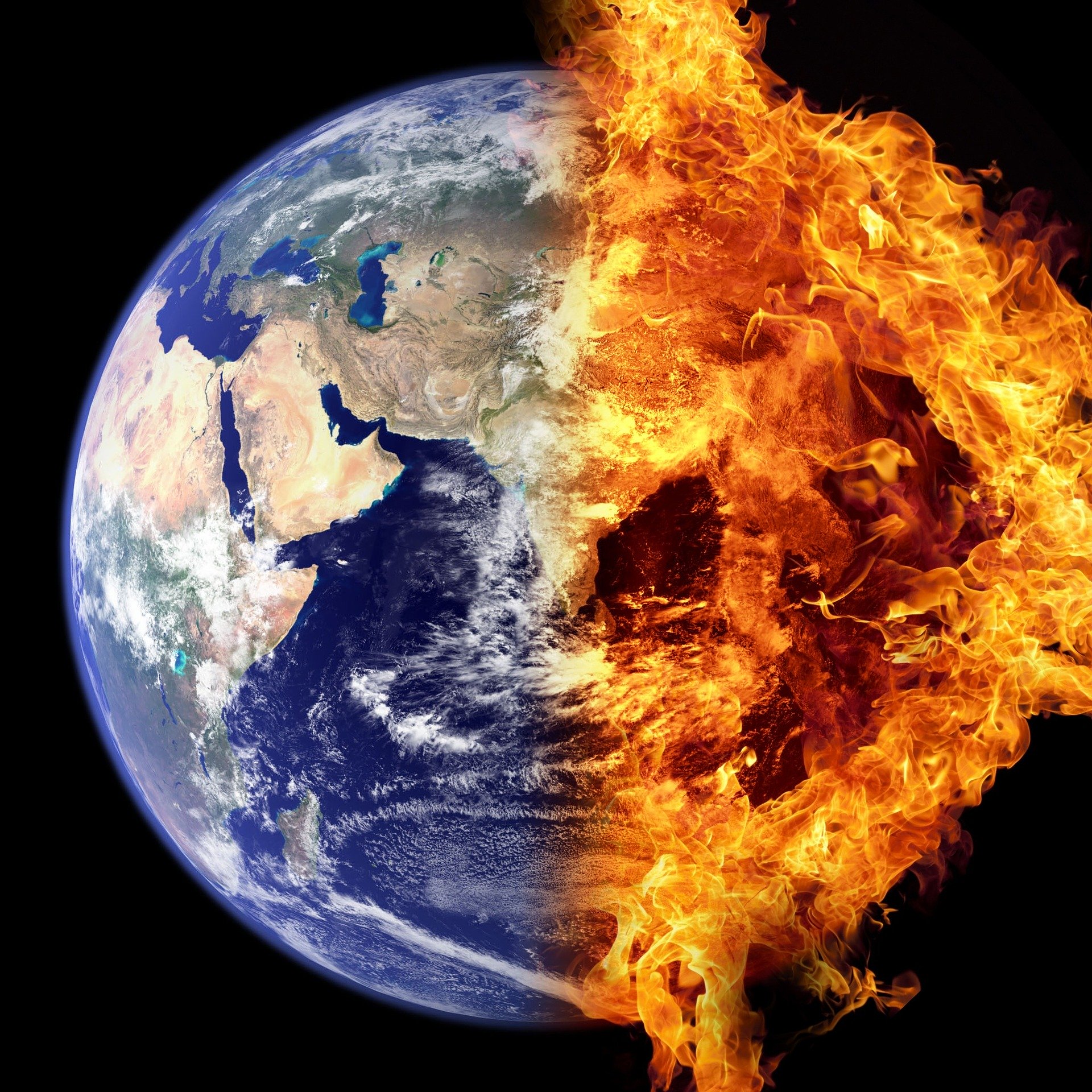 The Dying Planet Report 2020 The Dying Planet Report 2020