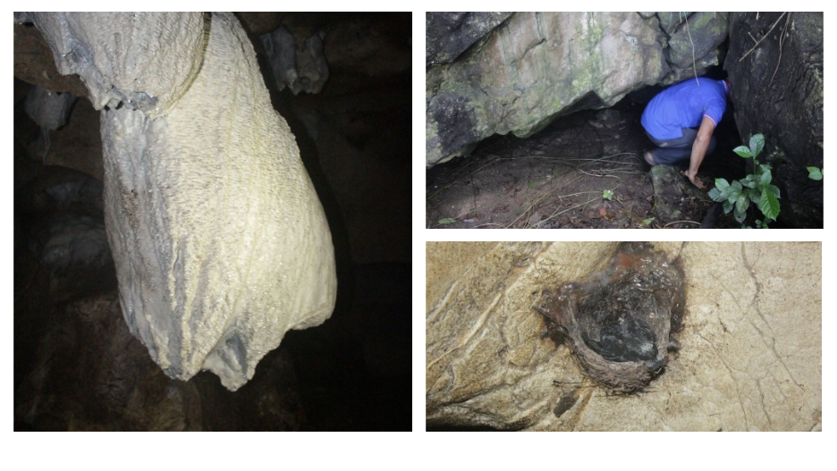The Enchantment of Spelunking and Discovering Life’s Symphony in Tagbon ...