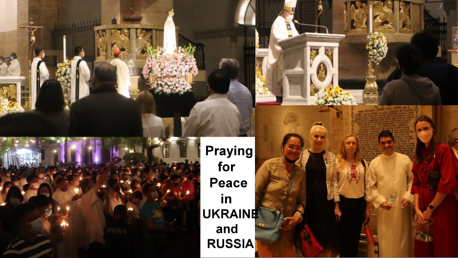 The Special Interest Groups (SIGs): Highlights of the 2023 WCCI ...