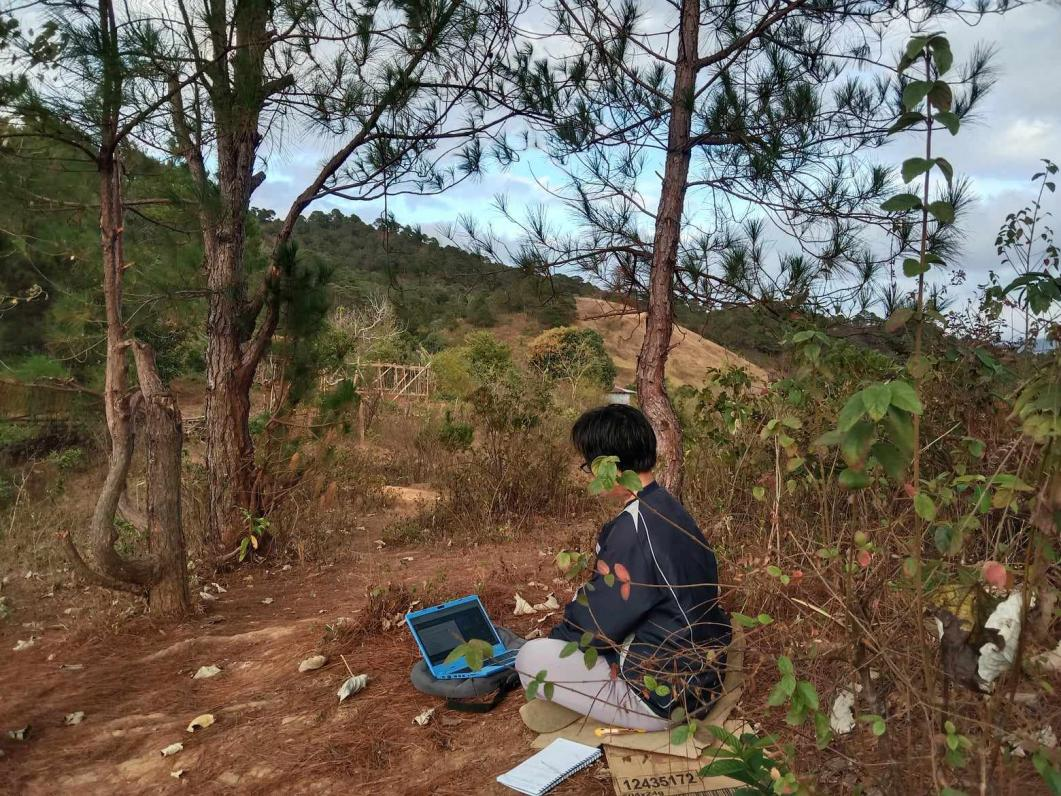 A PhD Student's Resilience: Defying Signal Challenges for Online Learning